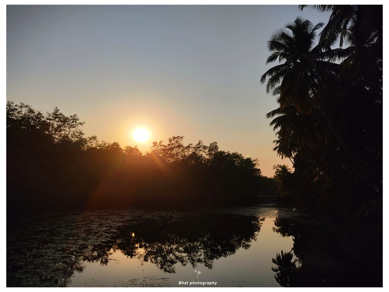 Explore Uttarakannada's Hidden Gems with a Sharavathi Backwater Boat ...